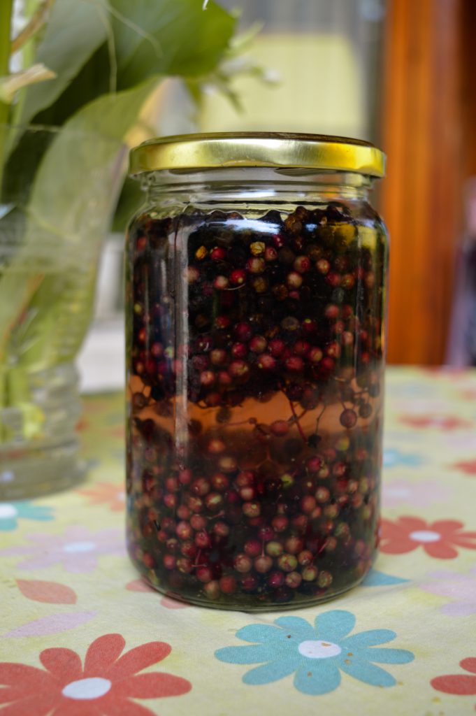 Bodzabogyó szörp – Kati-Patika